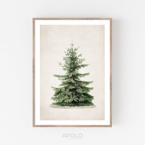 Oak Tree Drawing Print Printable Wall Art Vintage Tree - Etsy