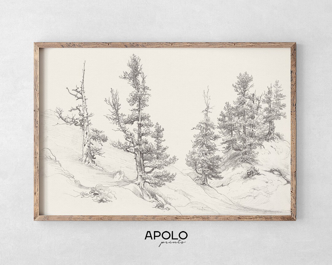 Pine Forest Sketch Print No. 2, Vintage Pine Tree Drawing Enhanced ...
