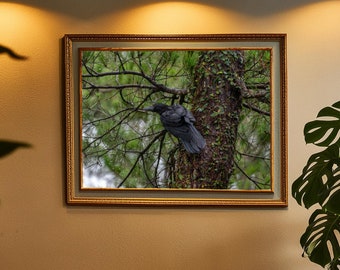 Crow Bird Vertical Photo Printable Wall Art Wildlife Photography ...
