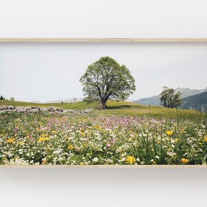 Samsung Frame TV Art | Spring Flower Field Photo | Landscape Art for ...