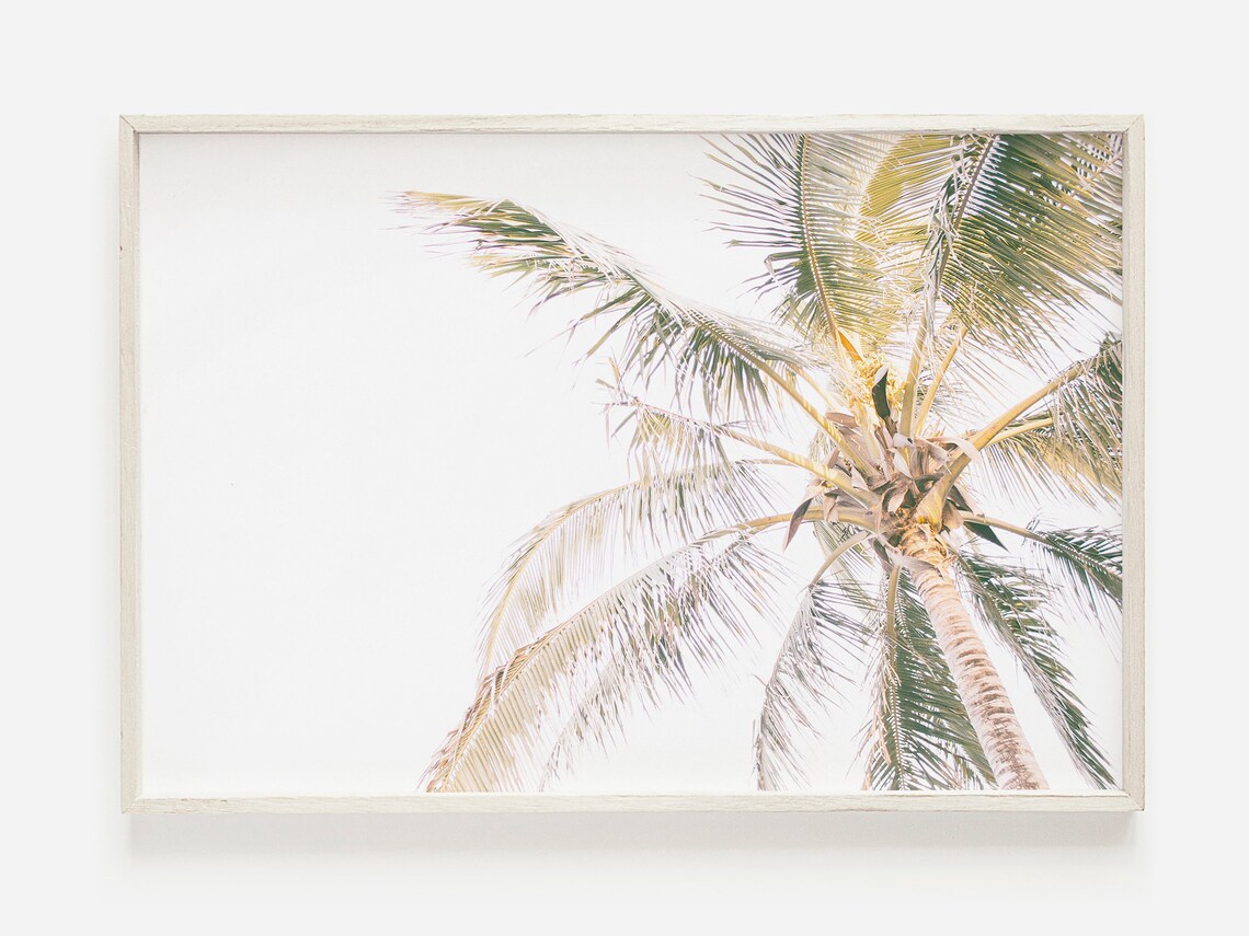 Palm Tree Print Boho Decor Modern Wall Art Tropical - Etsy