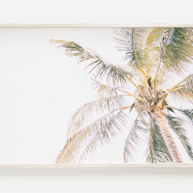 Palm Tree Poster - Etsy