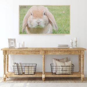 Samsung Frame TV Art | Rabbit Photo | Bunny Art for Frame TV ...