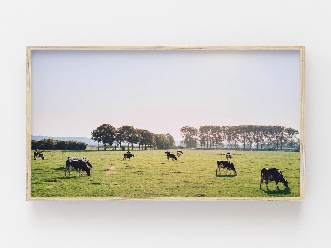 Frame TV Art File, Cows in Meadow, Farm Life Photo, Farmhouse Art for ...