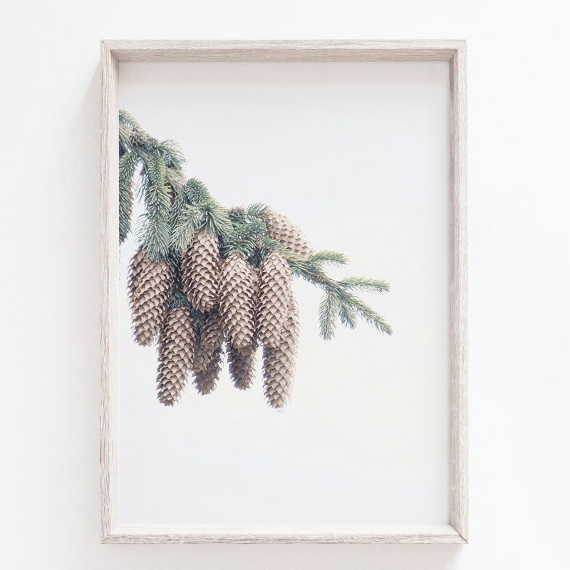 Pinecone Wall Decor - Etsy