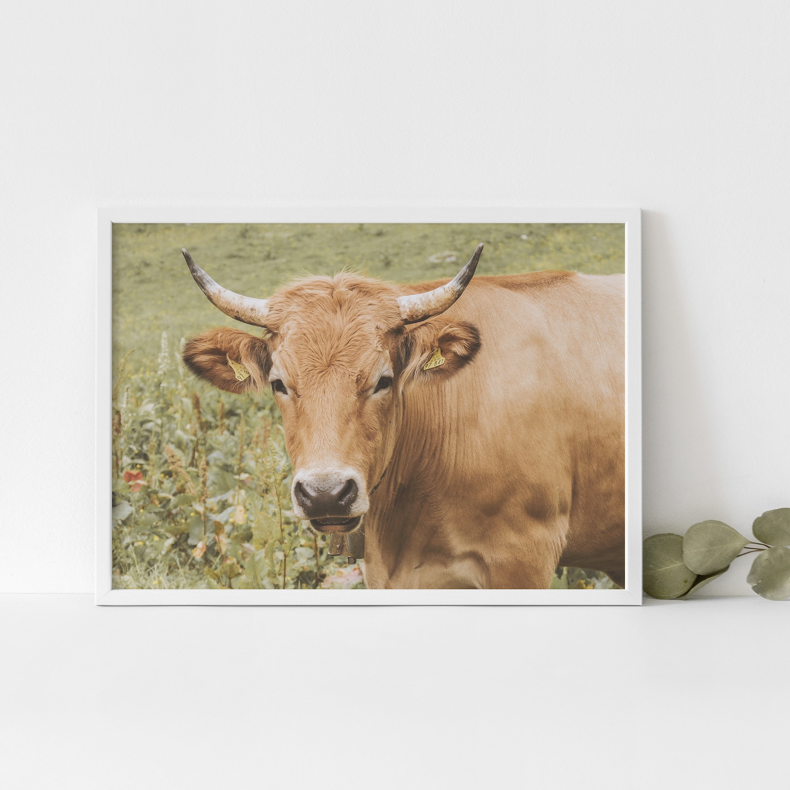 Modern Farmhouse Cow Wall Art, Rustic Cow Wall Art, Country Decor ...