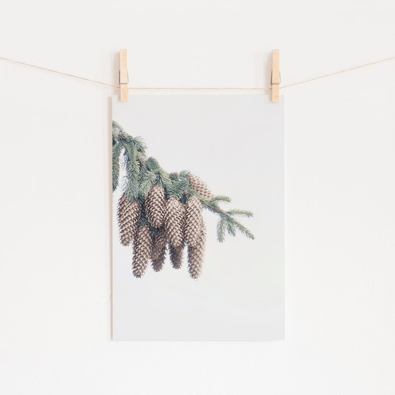 Pine Cone Print, Rustic Decor, Christmas Wall Art, Pinecone Home Decor ...