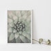 Green Succulent Printable Botanical Poster Plant - Etsy