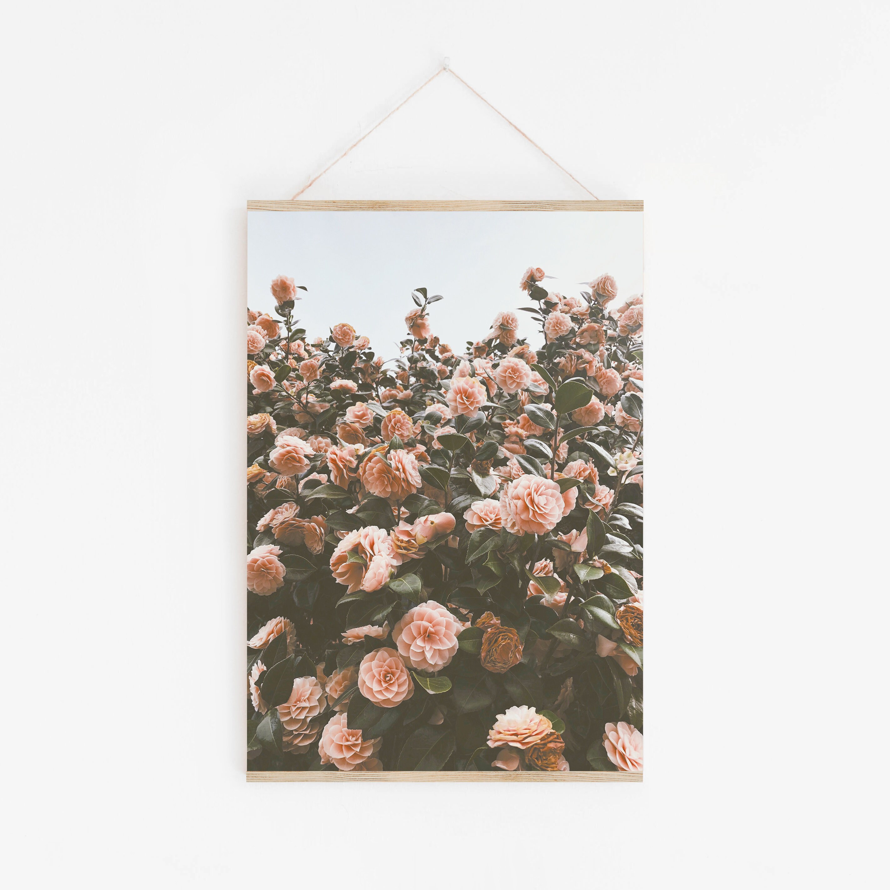 Farmhouse Floral Print, Pink Wall Art, Camellias Flower Art, Floral ...