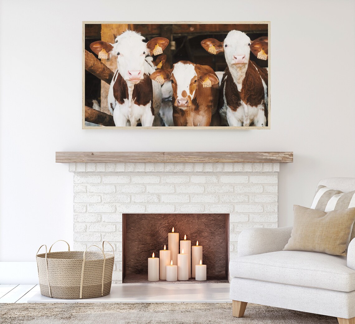 Samsung Frame TV Art | Farmhouse Cow Art | Cow Art for Frame TV | Three ...