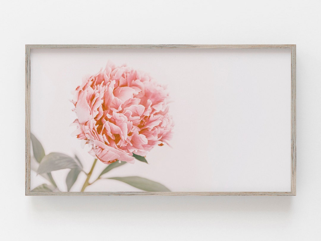 Samsung Frame TV Art | Peony Flower Frame TV Art | Farmhouse Art Tv ...