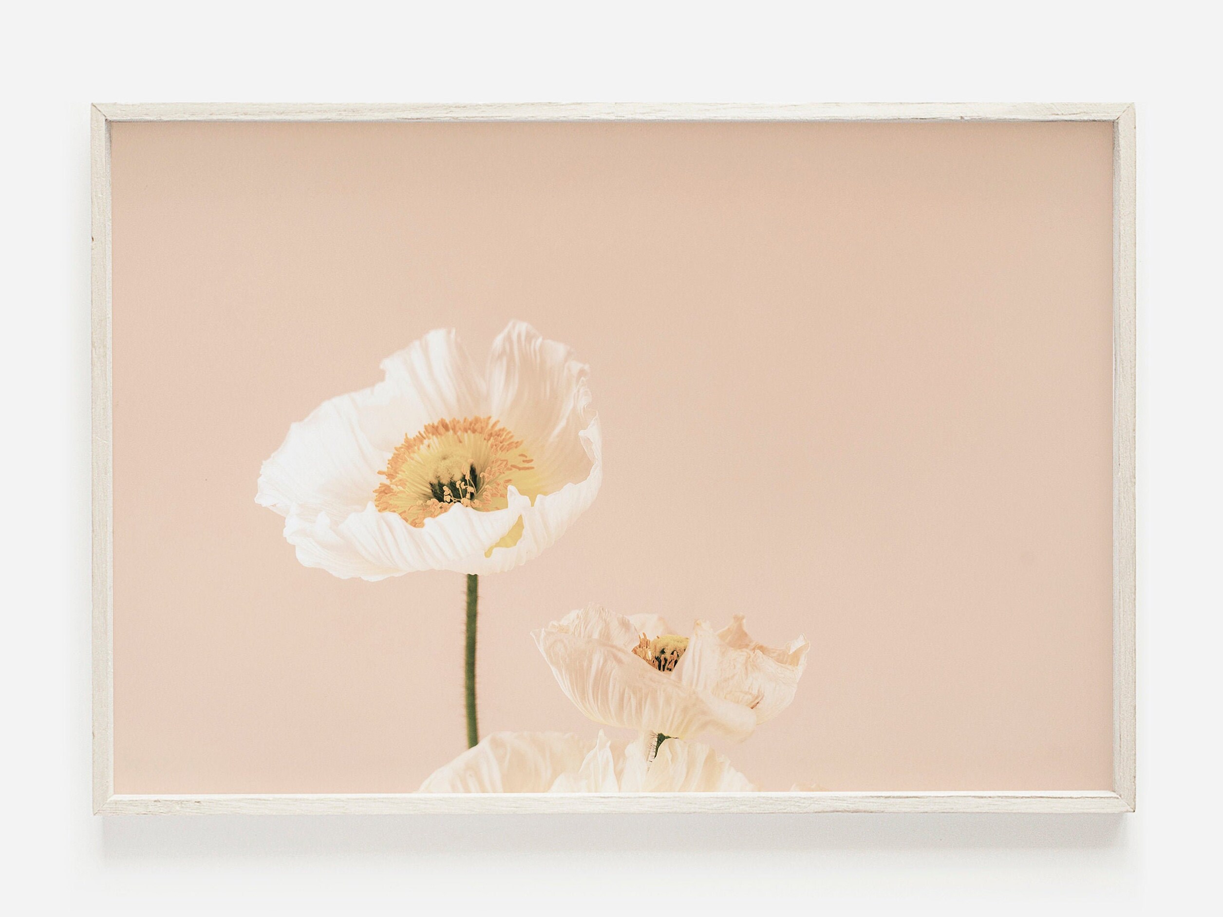 White Flower Art Modern Farmhouse Print Floral Art Print | Etsy