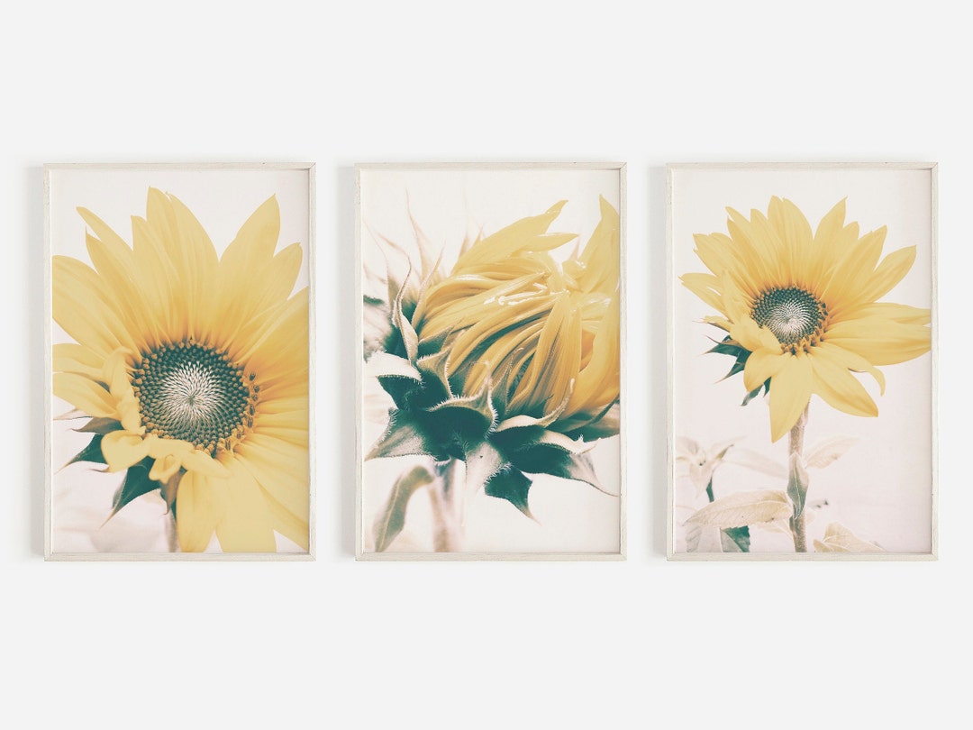 Boho Farmhouse Print Set, Set of 3 Prints, Floral Print Set, Sunflower ...