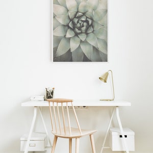Green Succulent Printable, Botanical Poster, Plant Photography, Modern ...