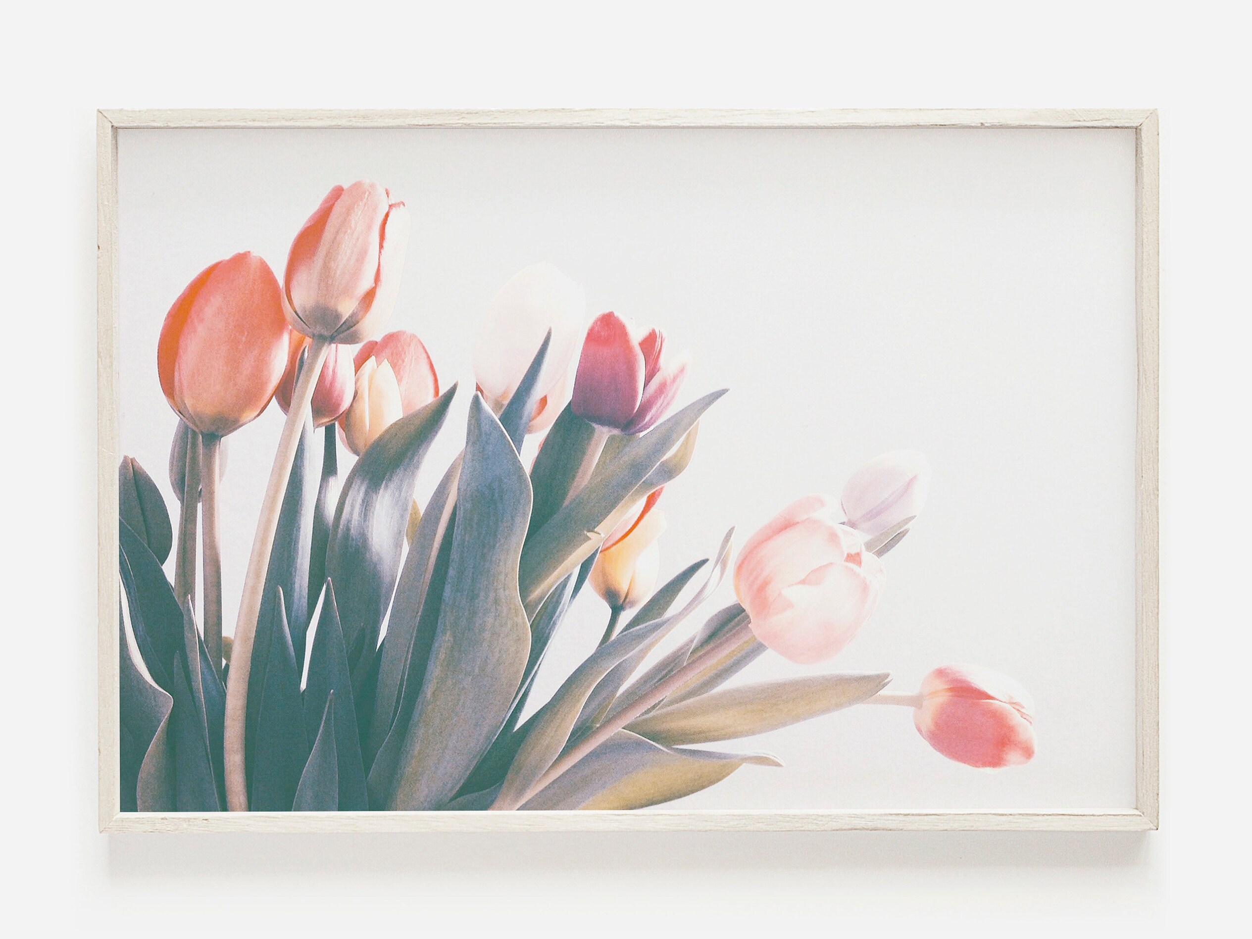 Floral Print Farmhouse Tulips Instant Art Tulip Art Print | Etsy