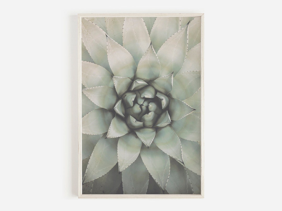 Green Succulent Printable, Botanical Poster, Plant Photography, Modern ...