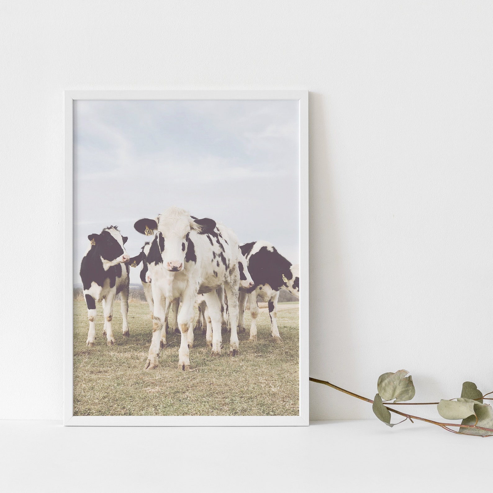 Cow Print, Rustic Farmhouse Decor, Cattle Wall Art, Cow Wall Art ...