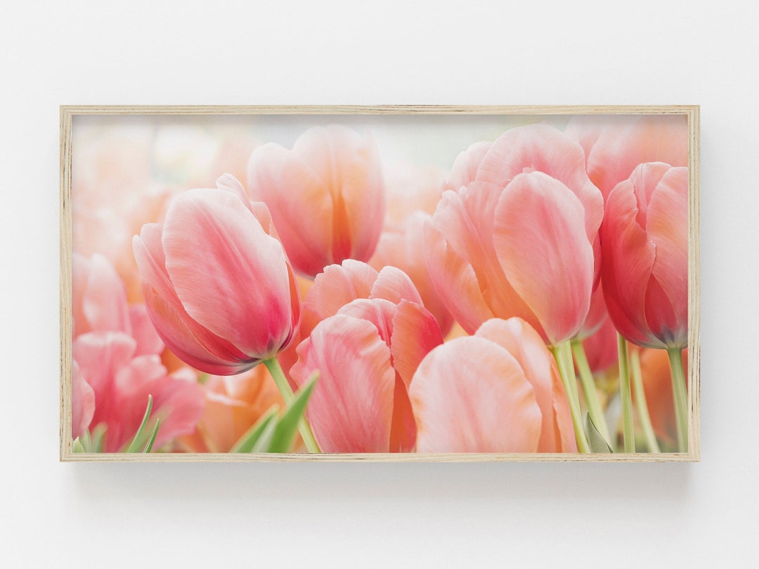 Samsung Frame TV Art | Pink Tulips Photo | Farmhouse Floral Decor ...