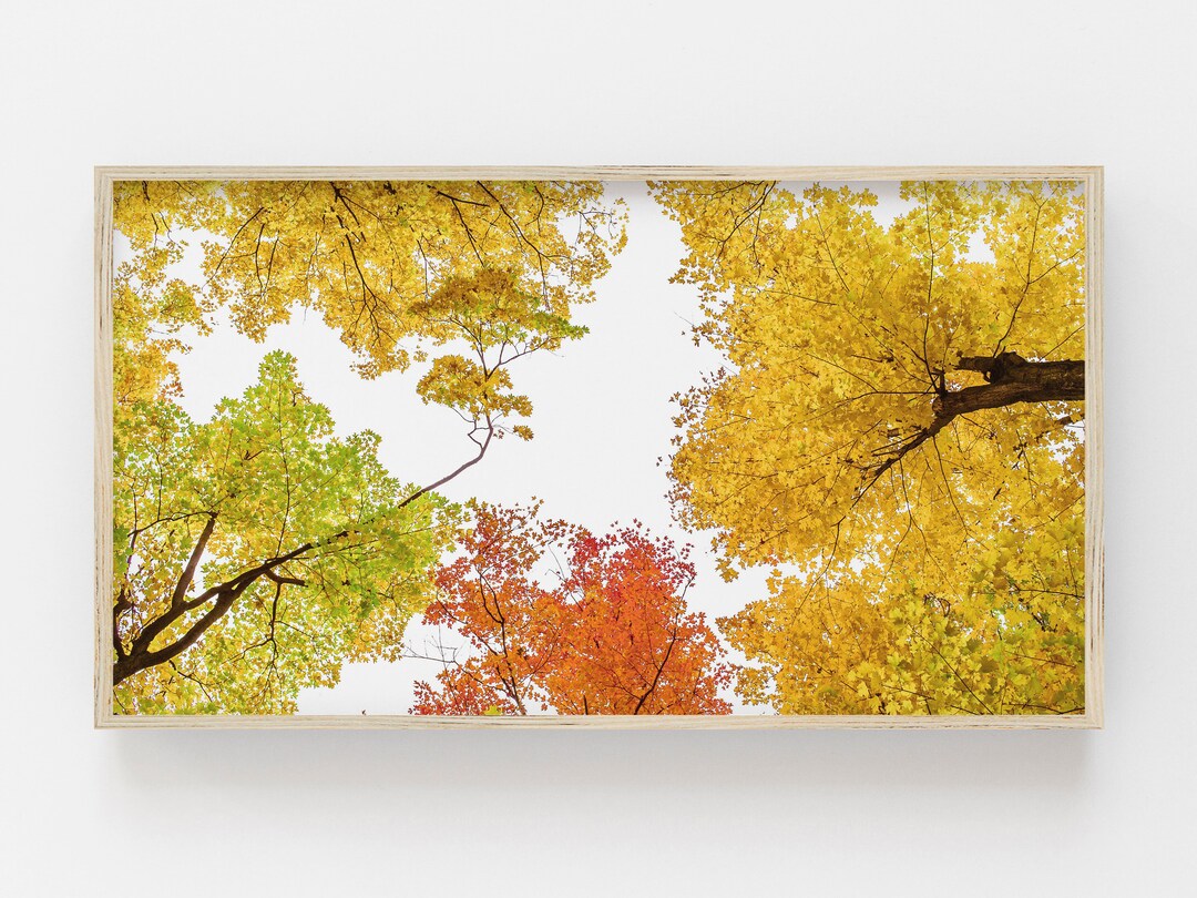 Samsung Frame TV Art | Changing Leaves Frame Tv | Farmhouse Art for ...