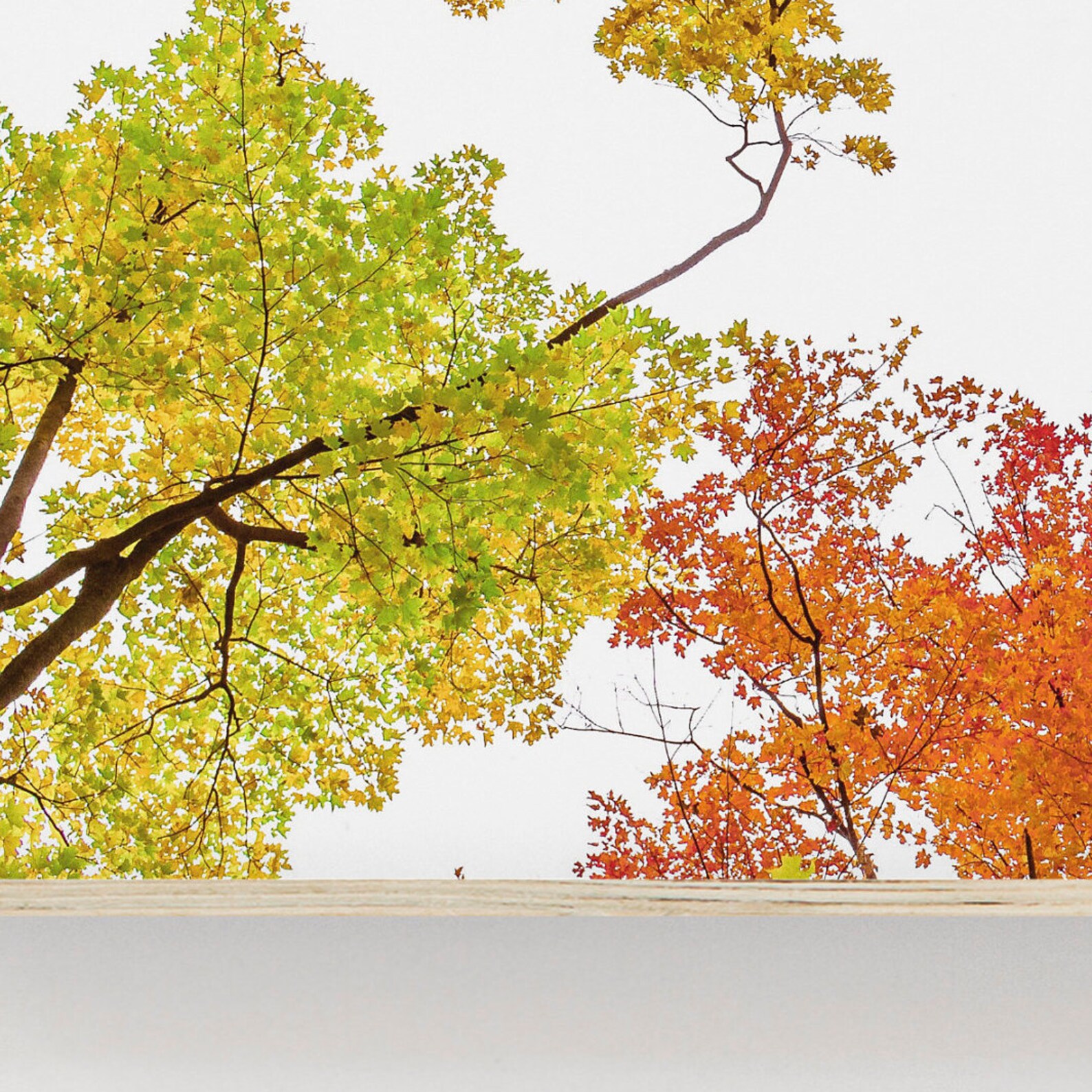 Samsung Frame TV Art | Changing Leaves Frame Tv | Farmhouse Art for ...