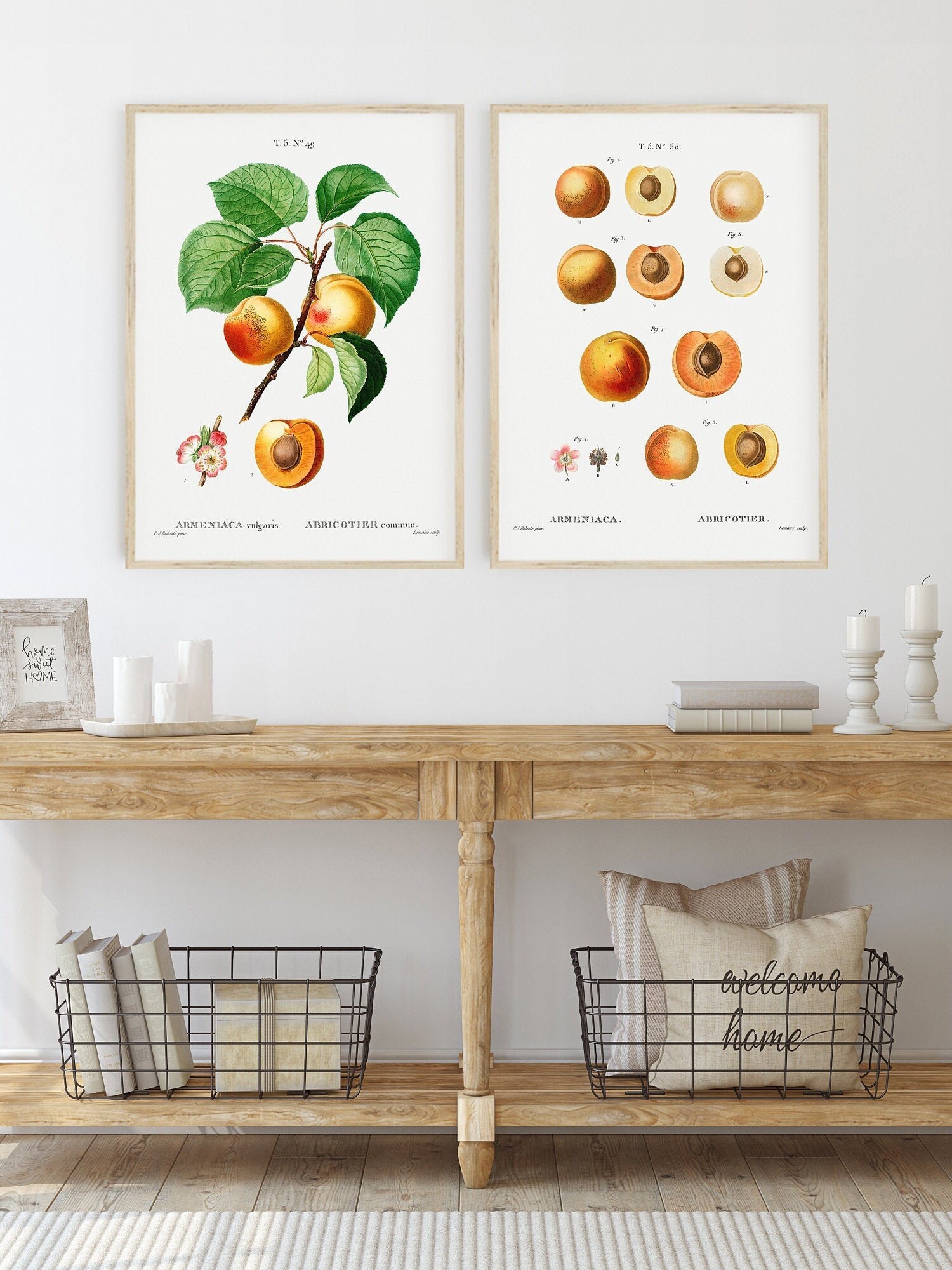 Apricot Botanical Print Set, Farmhouse Fruit, Apricot Branch Kitchen ...