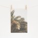 Boho Palm Trees Art Print, Tropical Art Print, Modern Coastal Decor ...