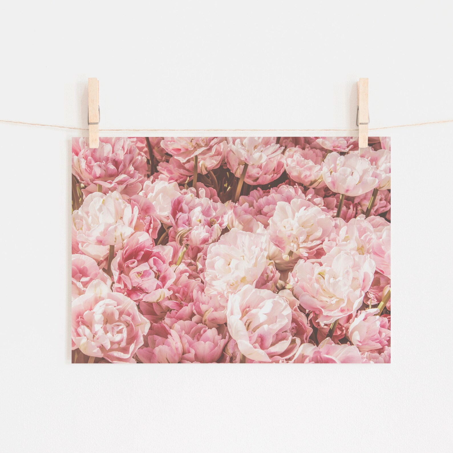 Peony Flower Print, Floral Print, Flower Wall Art, Peonies Print ...