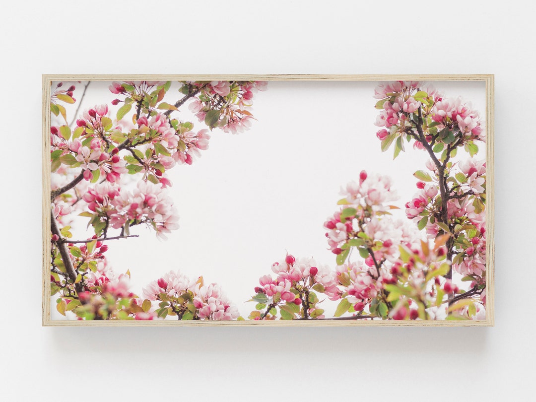 Cherry Blossom Frame TV Art, Spring Art for Frame Tv, Spring Floral Art ...