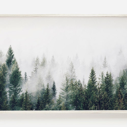 Forest Print Nature Wall Art Nature Photography Forest Home - Etsy