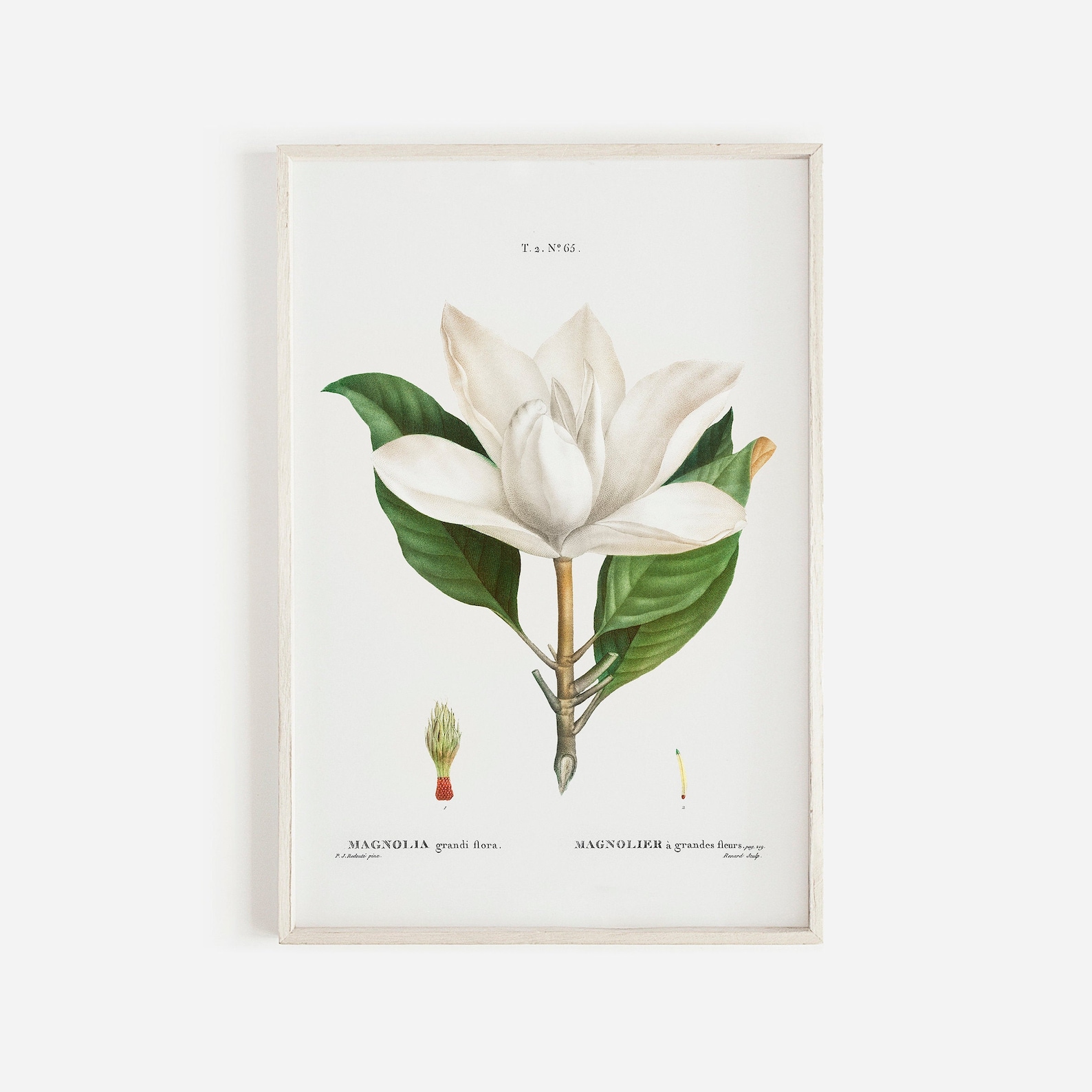 Magnolia Print Set of 2 Vintage Magnolia Printable Living | Etsy