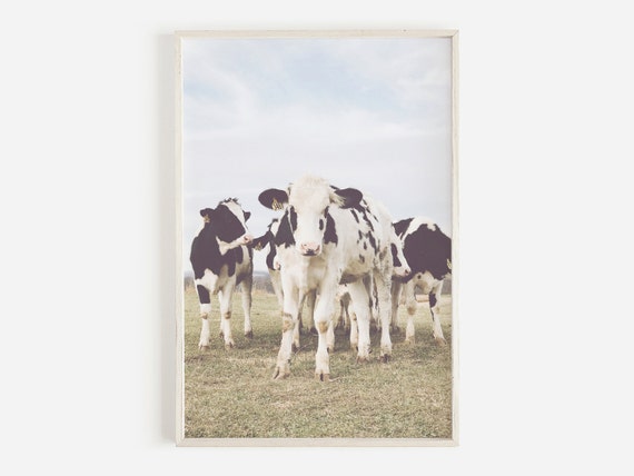 Cow Print Rustic Farmhouse Decor Cattle Wall Art Cow Wall - Etsy