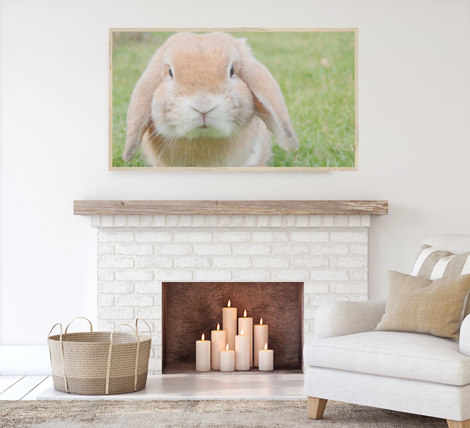 Samsung Frame TV Art Rabbit Photo Bunny Art for Frame TV - Etsy