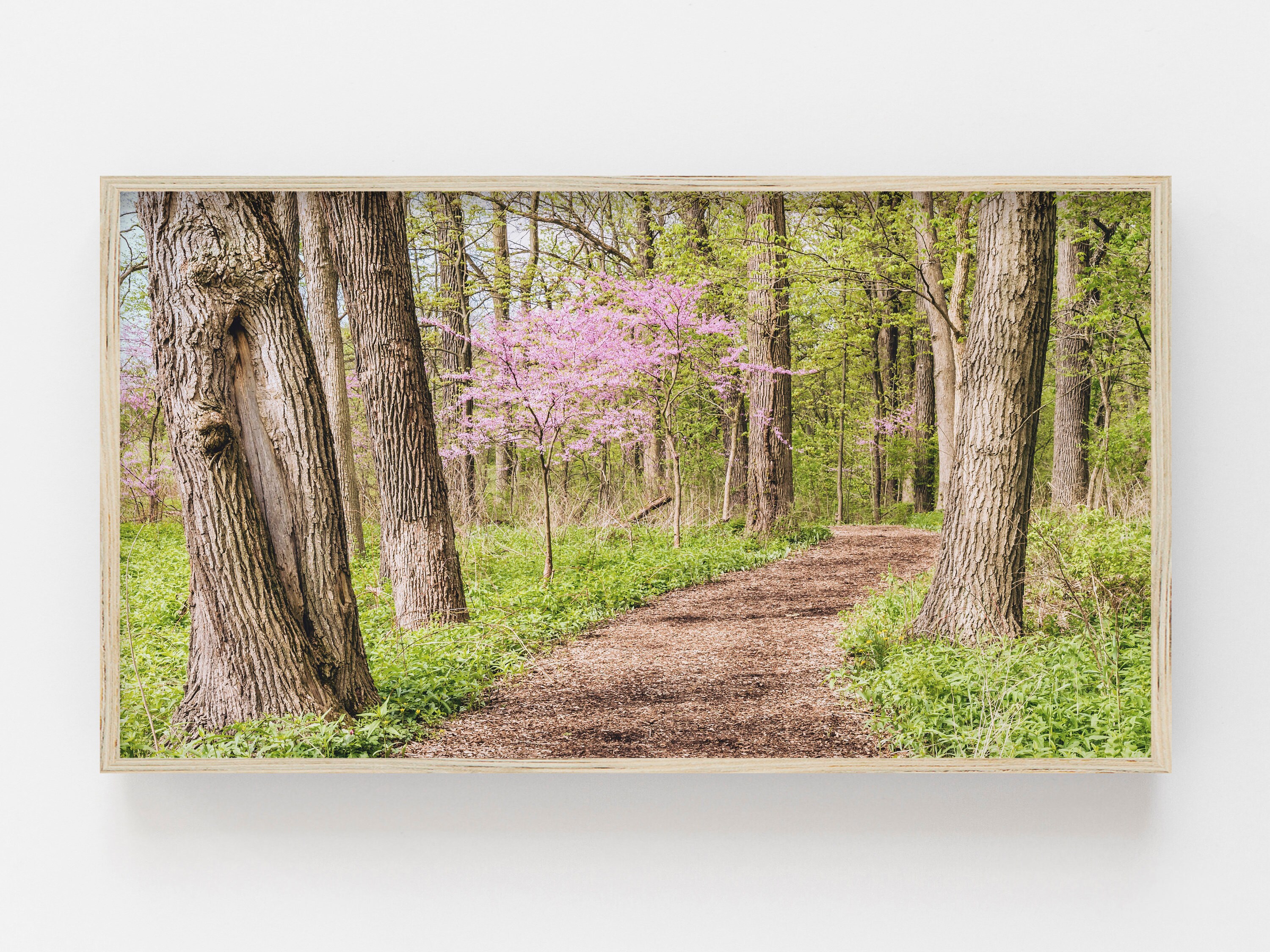 Samsung Frame TV Art Spring Forest Photo Farmhouse Art for - Etsy