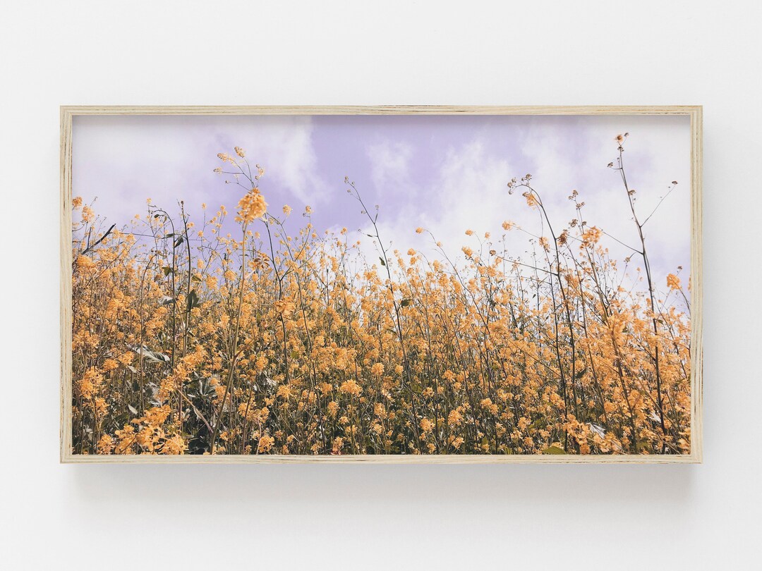 Samsung Frame TV Art | Floral Art for Frame TV | Wild Flowers | Yellow ...