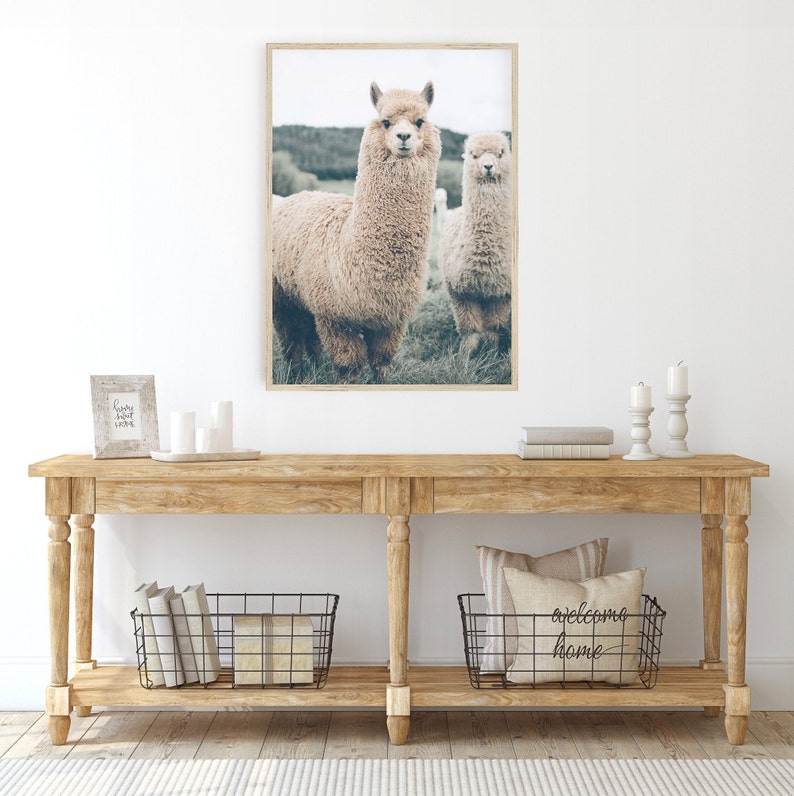 Llama Wall Art Alpaca Print Farmhouse Wall Art Alpaca - Etsy