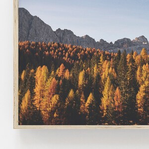 Samsung Frame TV Art | Autumn Forest Art Print | Changing Leaves ...