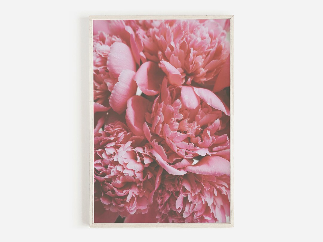Floral Art Print, Peonies Wall Art, Roses Print, Peony Print, Floral ...