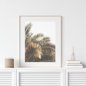 Boho Palm Trees Art Print, Tropical Art Print, Modern Coastal Decor ...