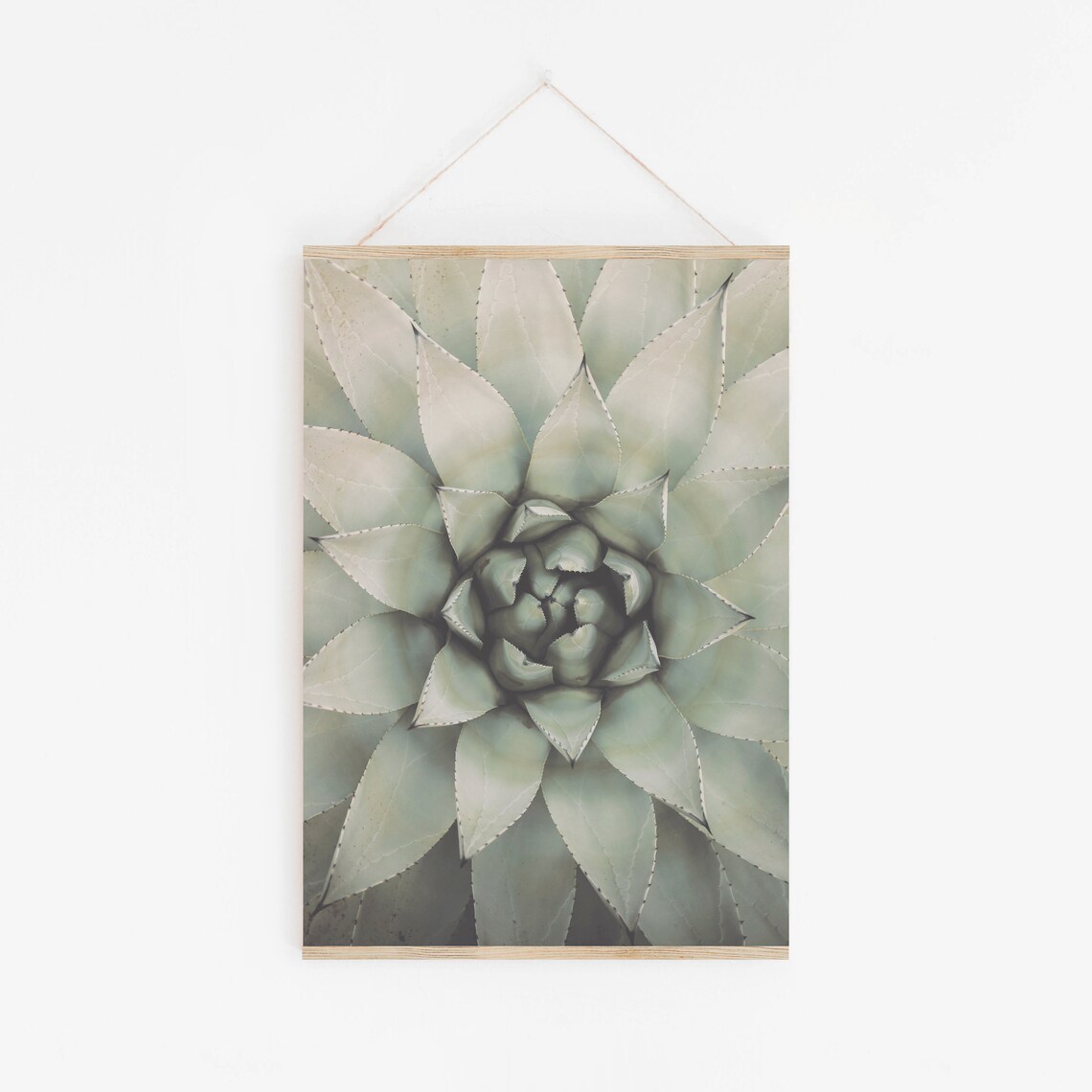 Green Succulent Printable Botanical Poster Plant | Etsy