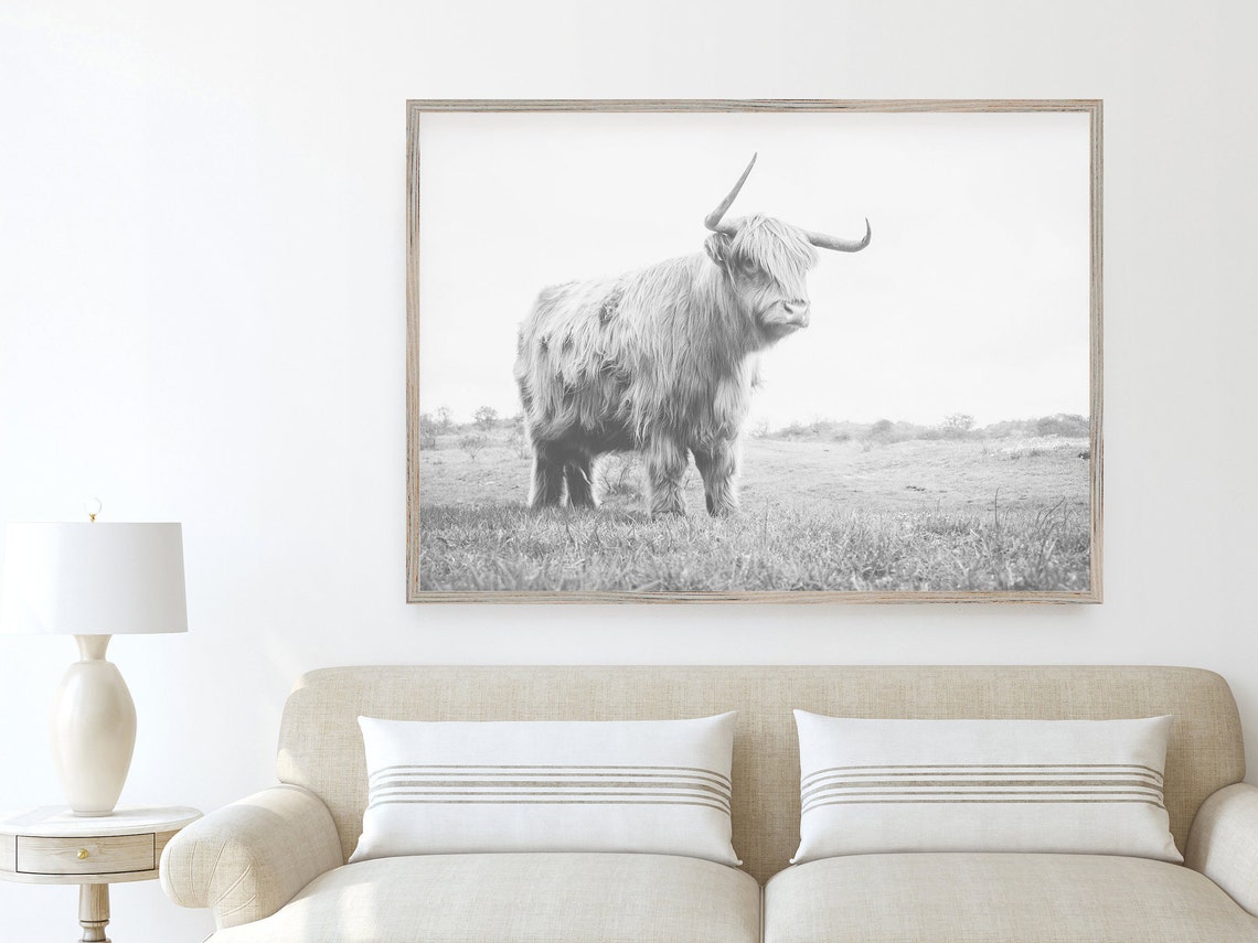 Rustic Cow Print, Cow Wall Art, Black and White, Animal Photography ...