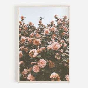 Farmhouse Floral Print, Pink Wall Art, Camellias Flower Art, Floral ...