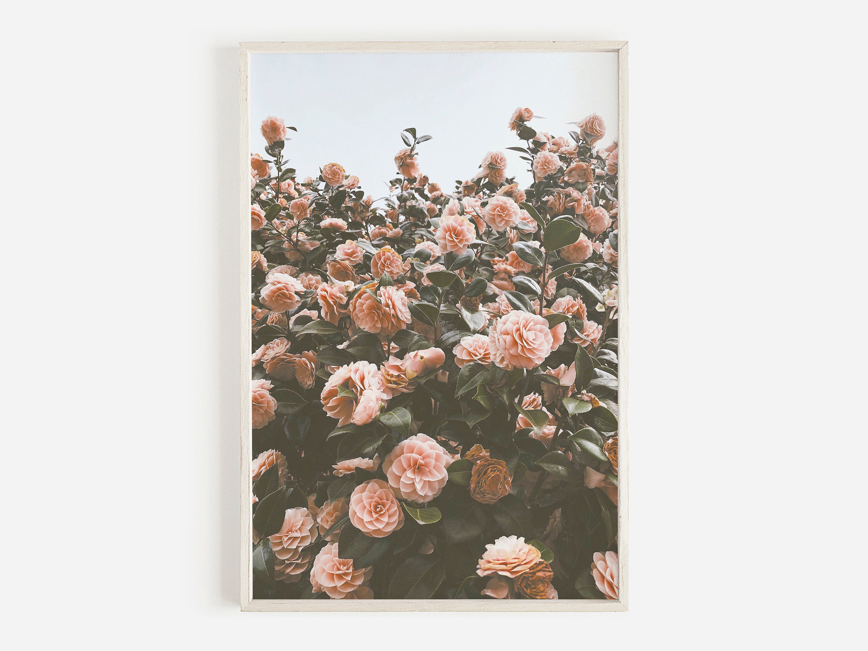 Farmhouse Floral Print Pink Wall Art Camellias Flower Art | Etsy