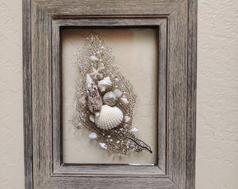 Seashell Wall Art | Etsy