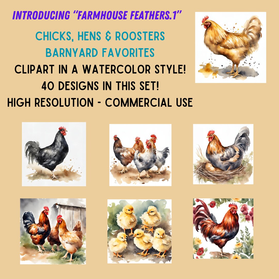 Farmhouse Feathers Watercolor Clip Art Collection 40 Chicks, Hens ...