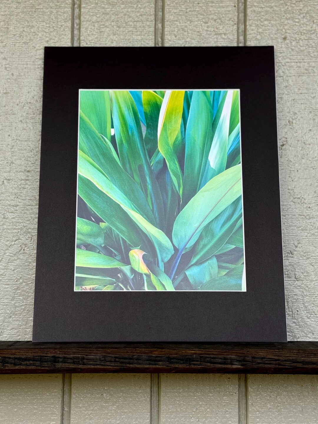 Hawaiian Ti Leaves 8x10 Printed Hawaiian Photo in 11x14 Matte. Hawaii ...