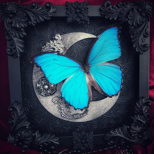 Butterfly Moon - Etsy