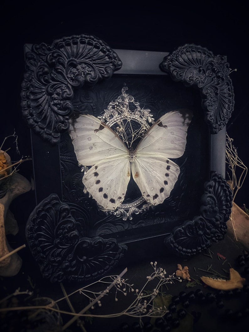 Ghost Whisperer Butterfly - Etsy