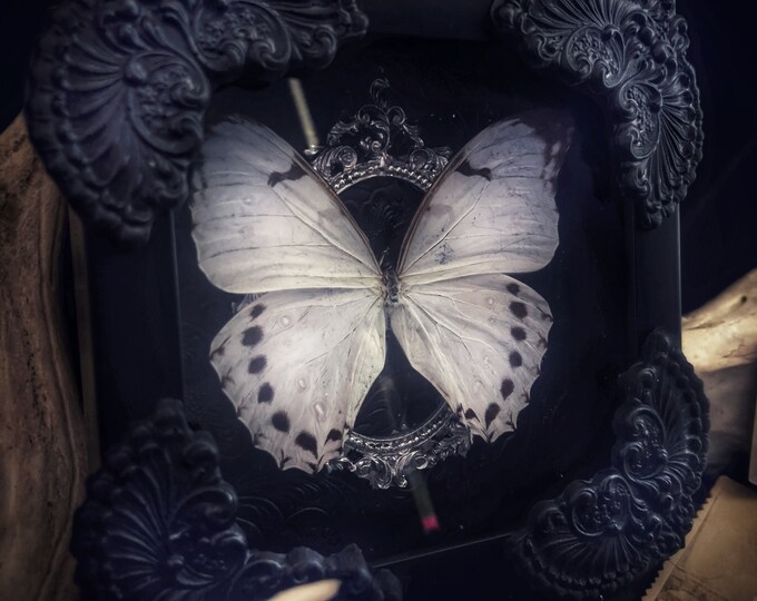 Ghost Whisperer Butterfly - Etsy