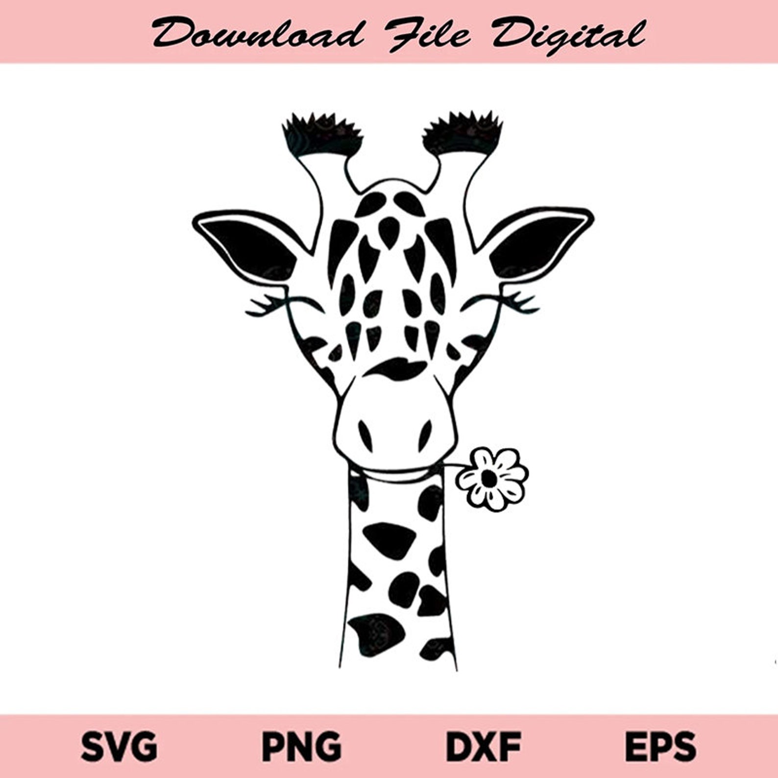 Giraffe Svg Animal Svg Giraffe Face Svg Funny Giraffe Svg - Etsy