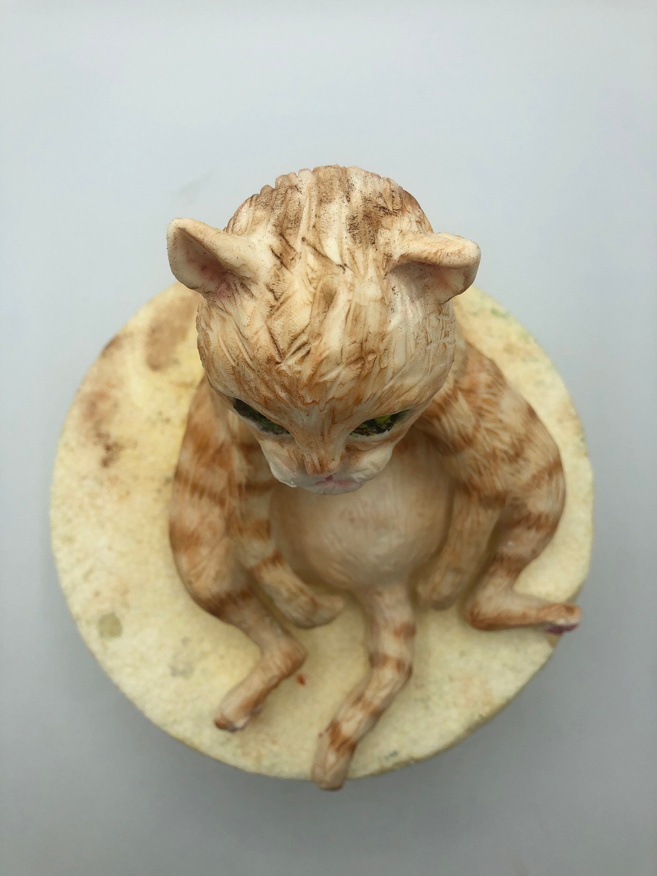 Party Supplies Party Décor your pet on top of the cake Cats cake topper ...